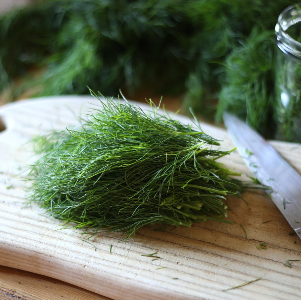 How to Store Dill for winter – a day in the life of a latvian mom