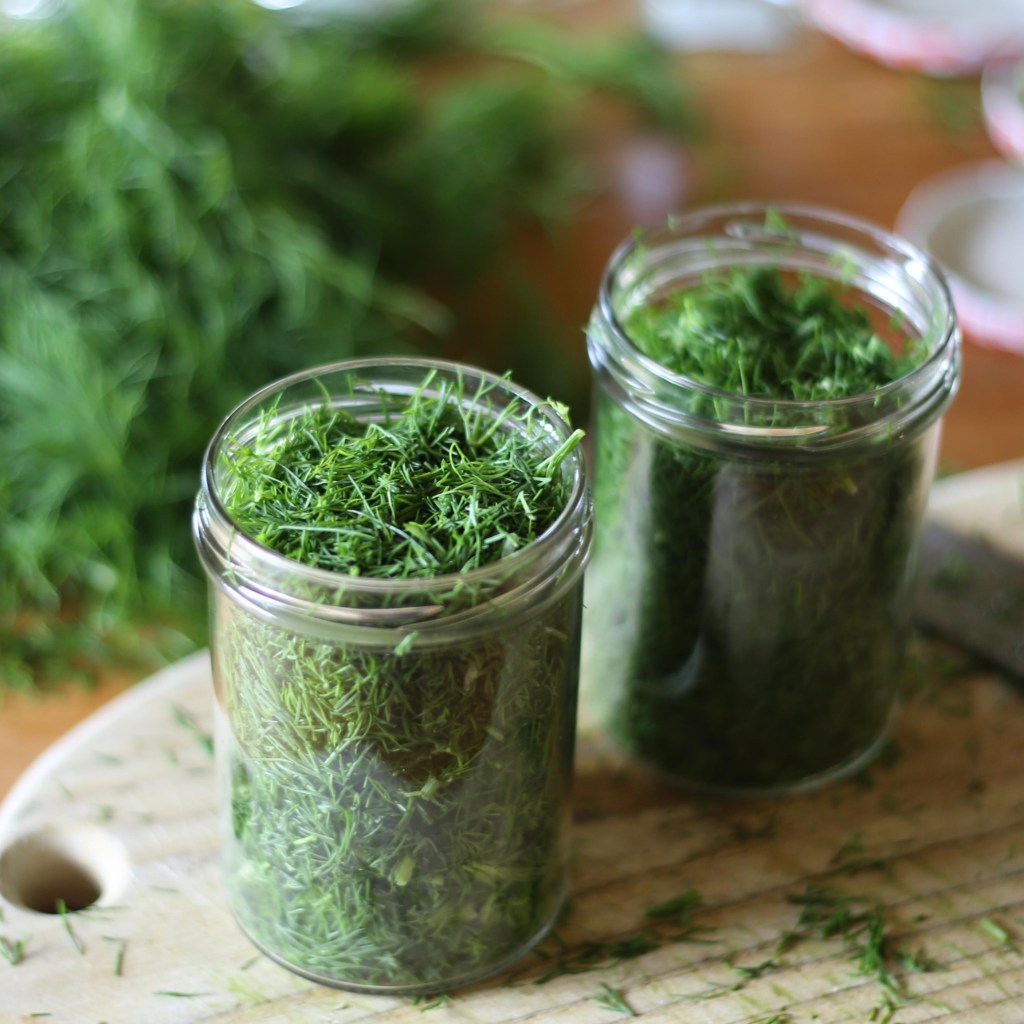 How to Store Dill for winter – a day in the life of a latvian mom