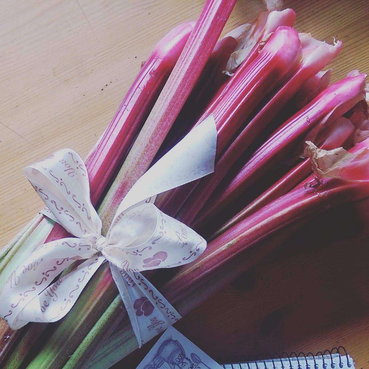 Preparing for a party: Rhubarb – a day in the life of a latvian mom