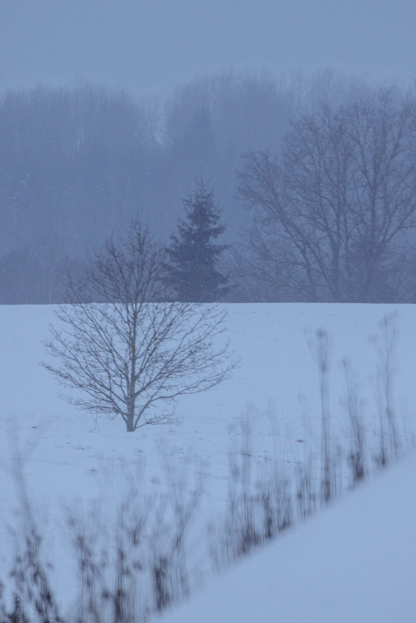 Not Sick Enough — Yet Not Okay – a day in the life of a latvian mom