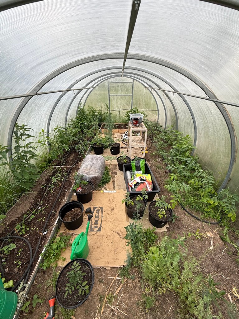 Progress in the Greenhouse – a day in the life of a latvian mom